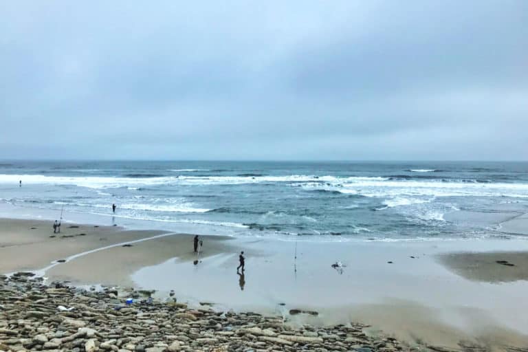 How To Surf Fish With Low Tide: A Step-by-Step Guide – Surfcasting Republic