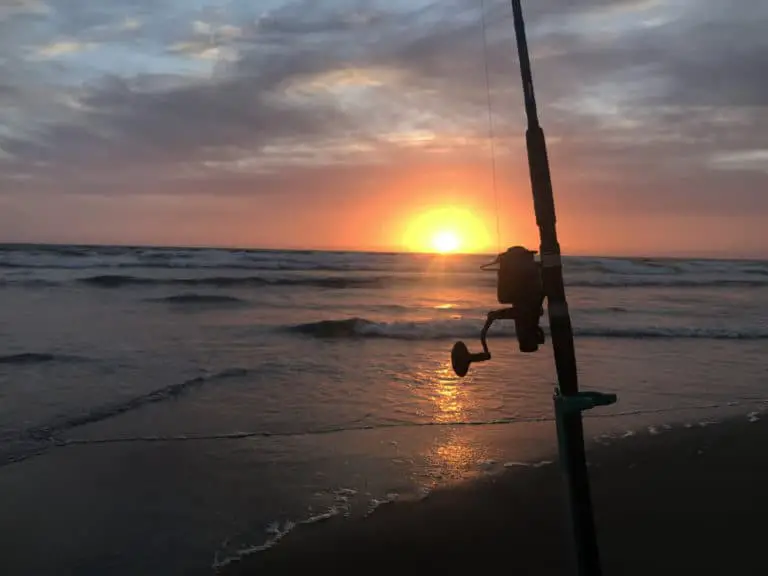 How To Catch Big Fish From The Shore? Everything You Need To Know ...