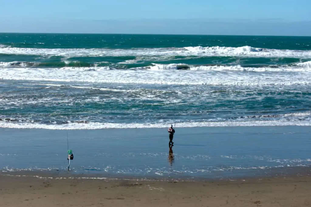 How To Surf Fish For Striped Bass? A Complete Beginners Guide ...