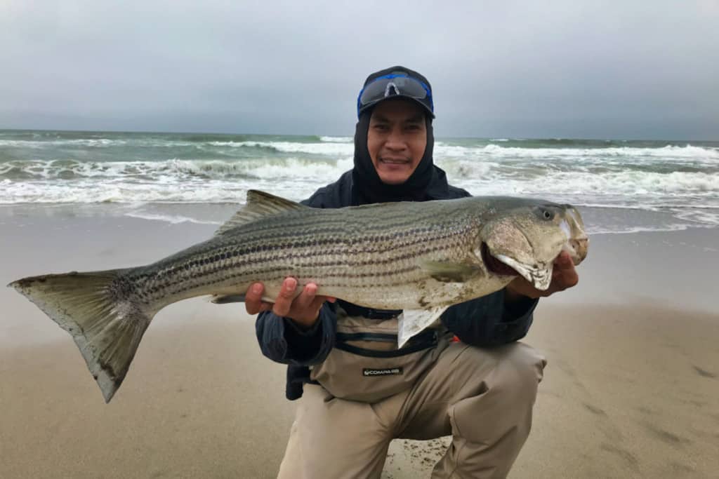 14 Best Spots To Surf Fish And Pier Fishing In California – Surfcasting ...