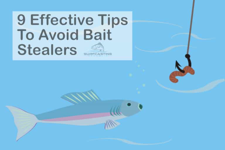 How to Avoid Bait Stealers in Surf Fishing (9 Effective Tips ...