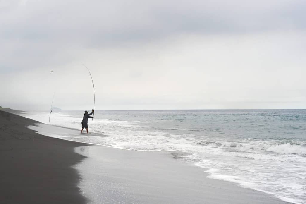 How To Choose The Best Surf Fishing Rods? The Complete Guide ...
