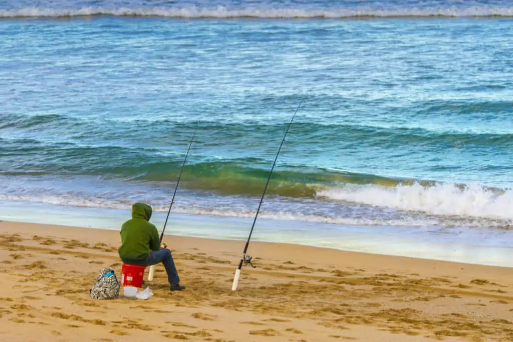 How To Choose The Best Surf Fishing Rods? The Complete Guide ...