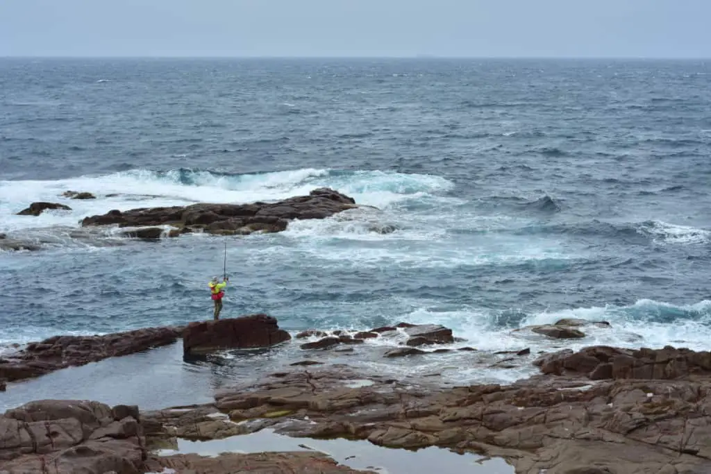 Rock Fishing: The Complete Guide – Surfcasting Republic