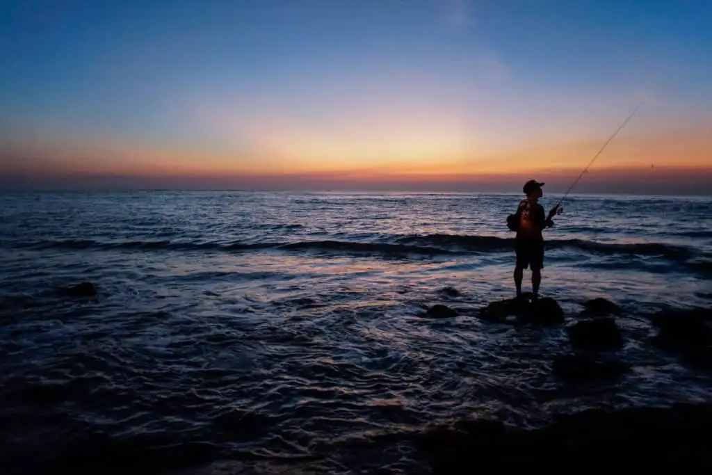 Surf Fishing at Night Guide And Tips – Surfcasting Republic