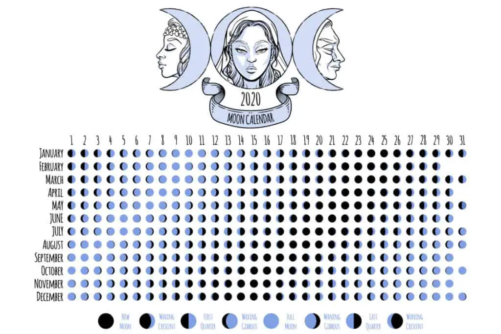 Solunar Theory: Understanding the Pattern of the Moon for Ideal Fishing ...
