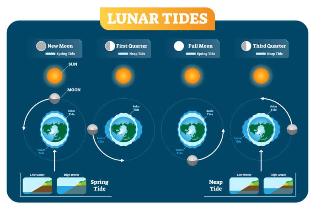 Solunar Theory: Understanding the Pattern of the Moon for Ideal Fishing ...