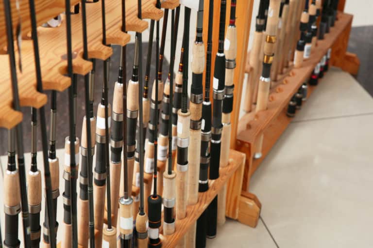 9 Best Spinning And Casting Inshore Rods For Beginners – Surfcasting ...