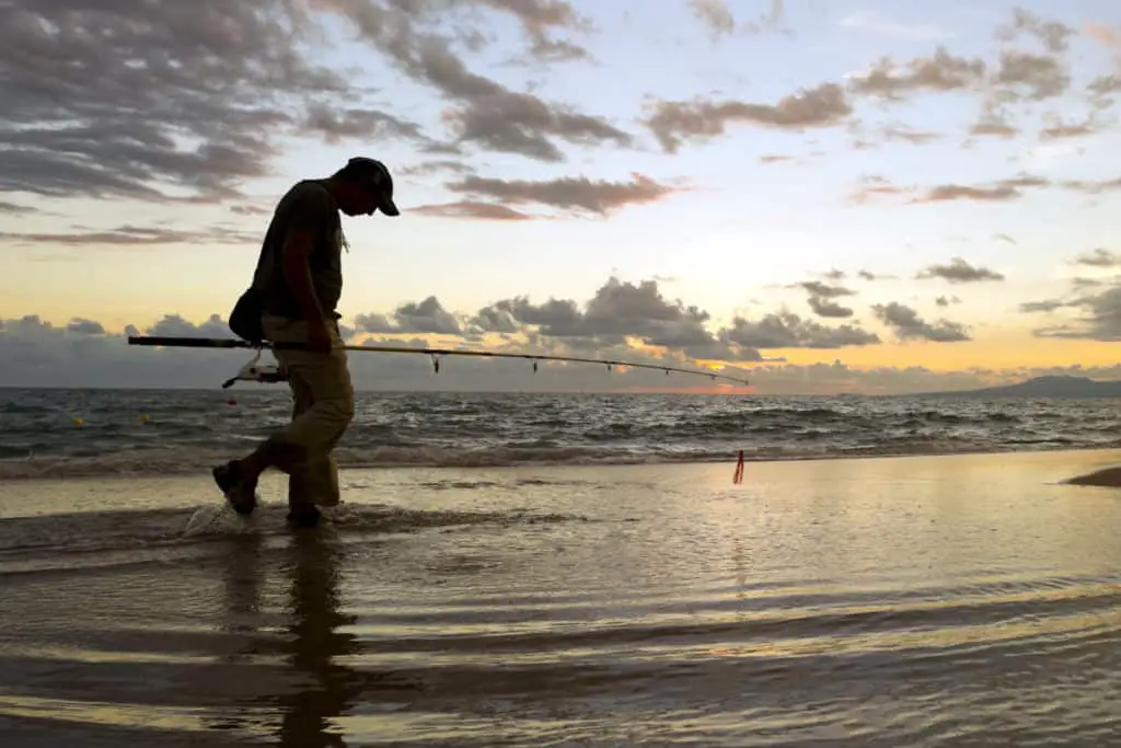 Is Fishing Luck Or Skill? Here’s What To Know – Surfcasting Republic