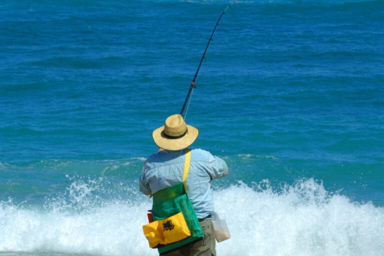 How Much Does A Fishing License Cost in Florida? – Surfcasting Republic